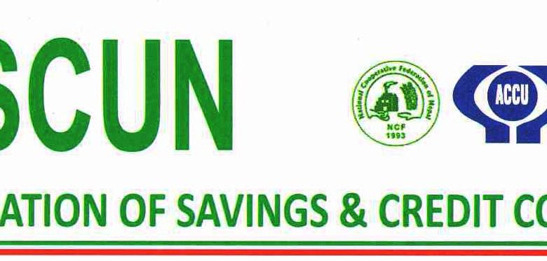 NEFSCUN to hold national workshop of account supervisory committees – Public Service ...