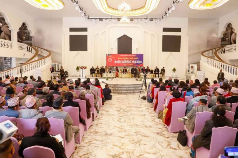 CPN-UML holds second central committee meeting – Public Service ...